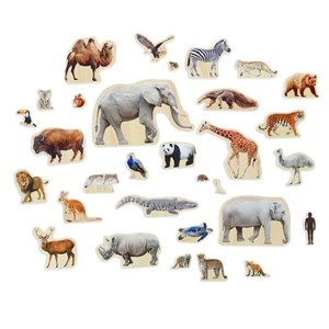 Coffret animaux des continents | Nature & Découvertes